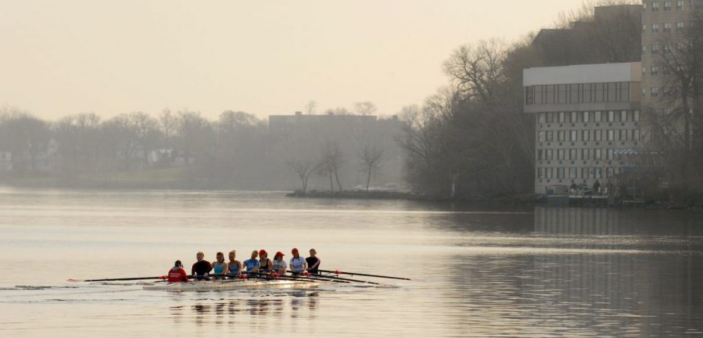 insubordination – UW Theme Classic – UW–Madison
